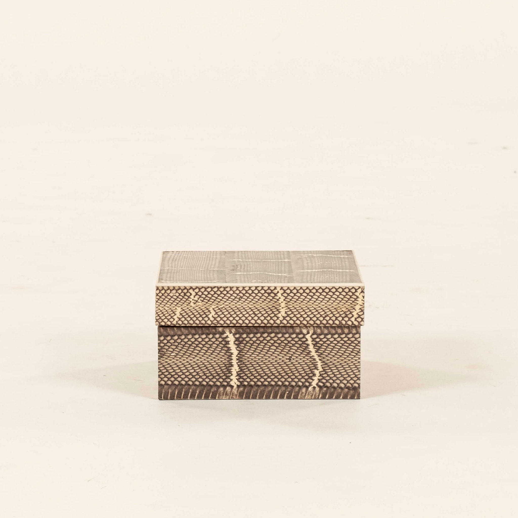 R&Y Augousti Snakeskin Box – Moxie Interiors